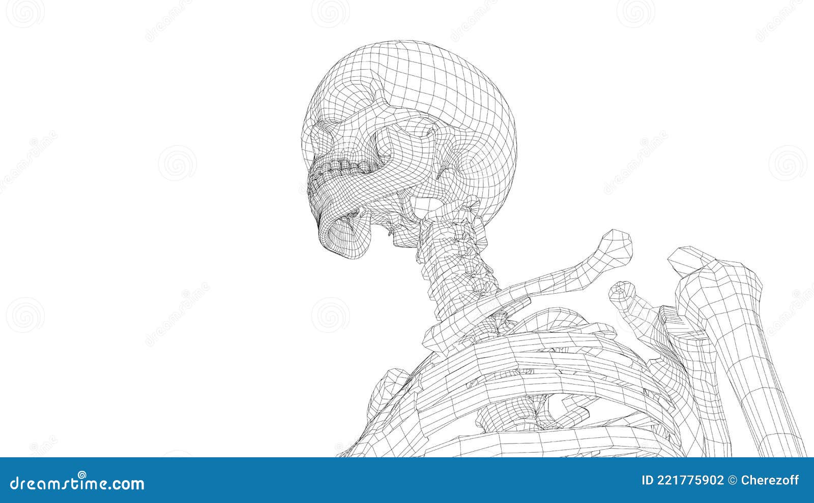 Human skeleton. Vector stock vector. Illustration of science - 221775902