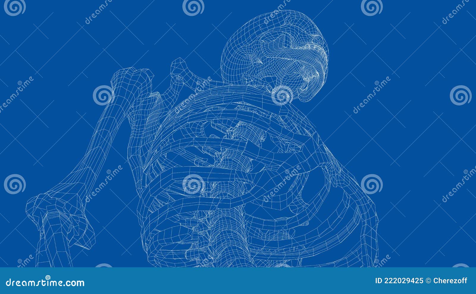 Human skeleton. Vector stock vector. Illustration of background - 222029425