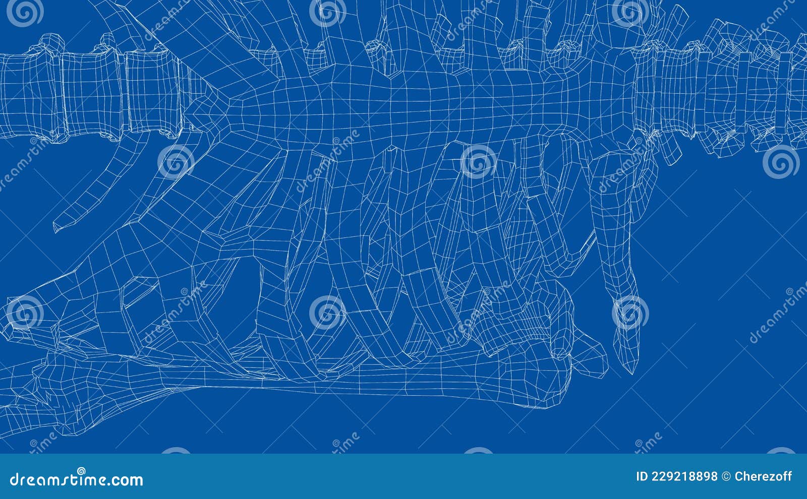 Human skeleton. Vector stock vector. Illustration of backbone - 229218898