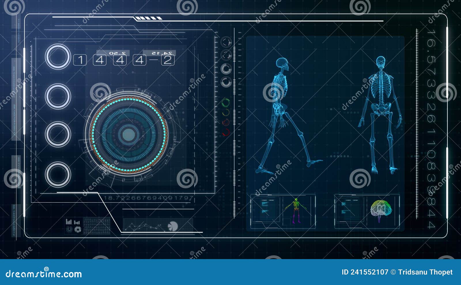 Human Skeleton Walking with Futuristic User Interface Stock ...
