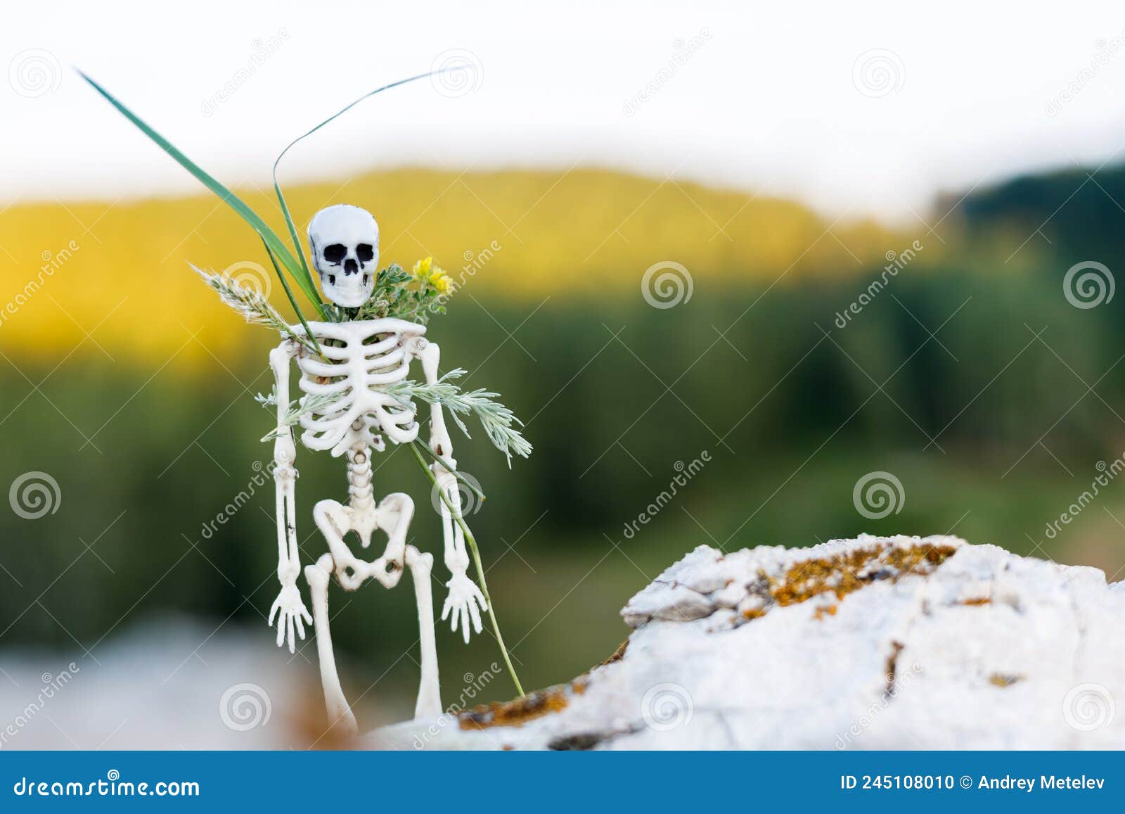 Human Skeleton in Which Grass and Flowers are Inserted Stock Photo ...