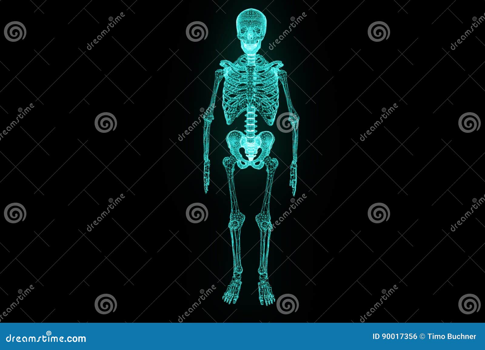 Human Skeleton Wireframe Hologram in Motion. Nice 3D Rendering Stock ...
