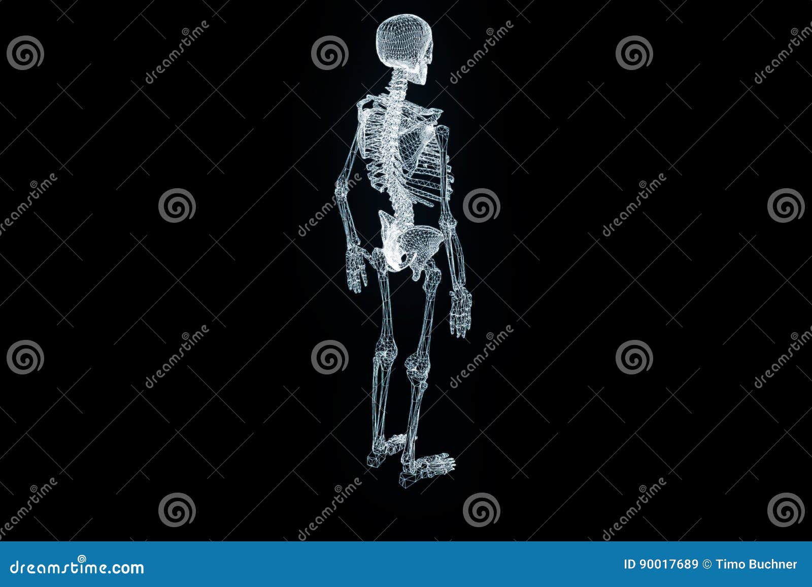 Human Skeleton Wireframe Hologram in Motion. Nice 3D Rendering Stock ...