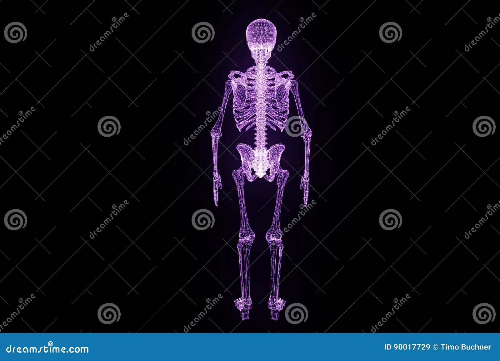 Human Skeleton Wireframe Hologram in Motion. Nice 3D Rendering Stock ...