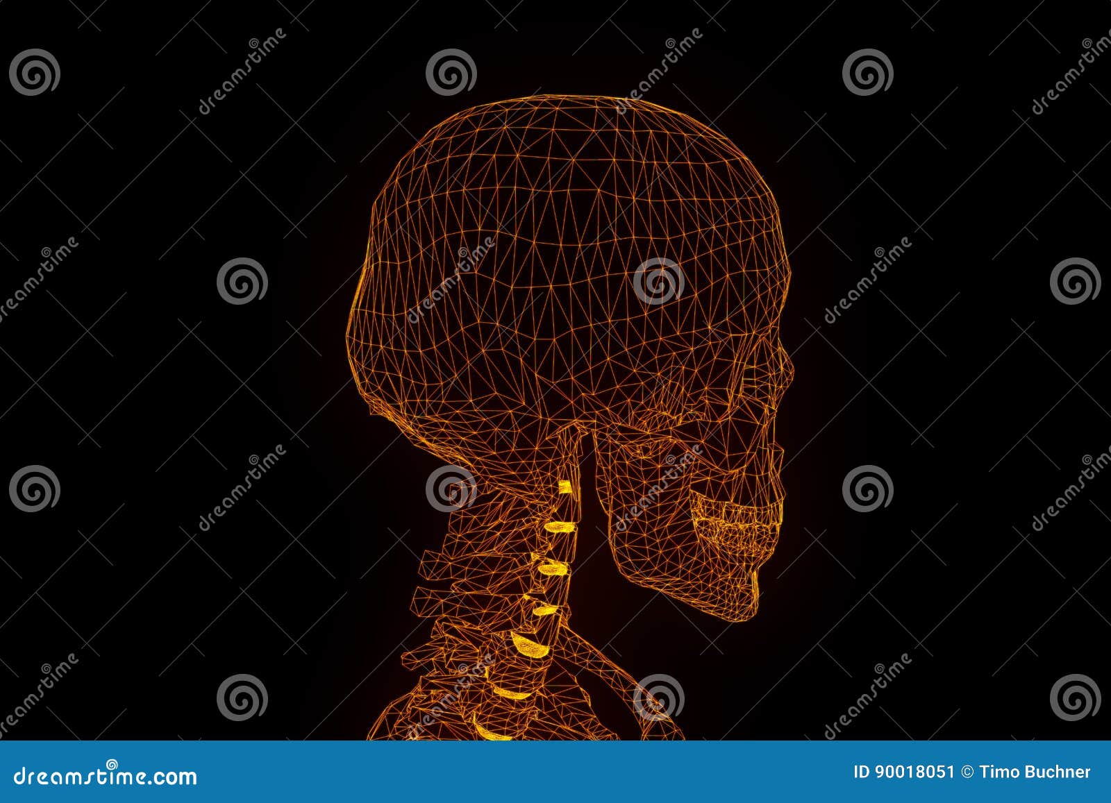 Human Skeleton Wireframe Hologram in Motion. Nice 3D Rendering Stock ...