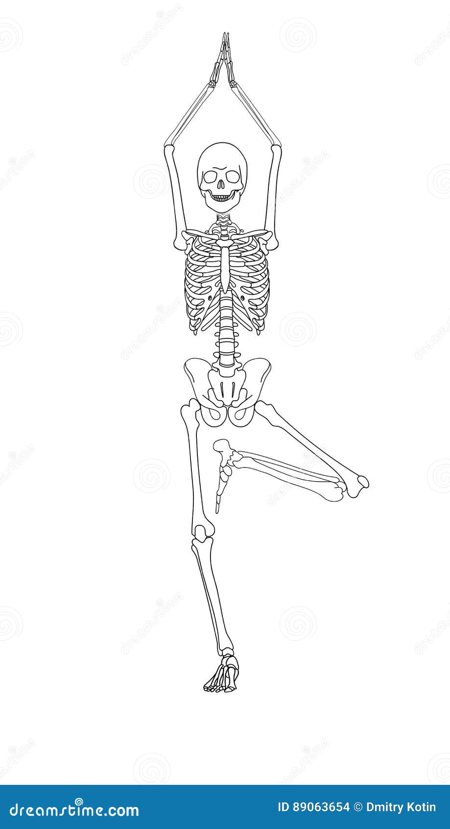 Anatomical Human Position Stock Illustrations – 831 Anatomical Human ...