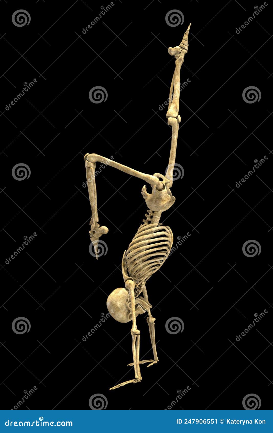 Human Skeleton in Yoga Position, 3D Illustration Stock Illustration ...