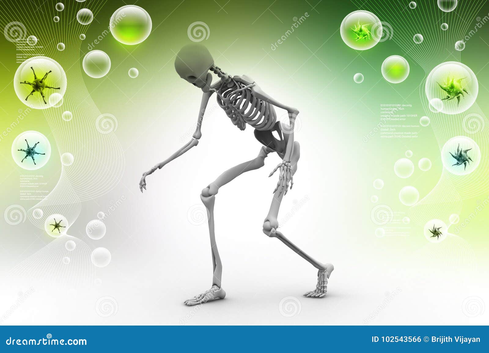 Human Skelton stock illustration. Illustration of joint - 102543566