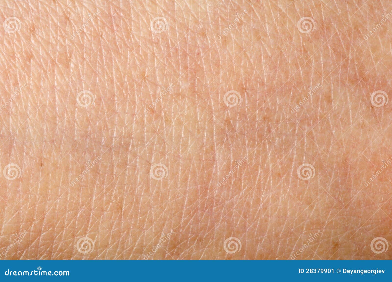 Human skin stock image. Image of healthcare, covering - 28379901