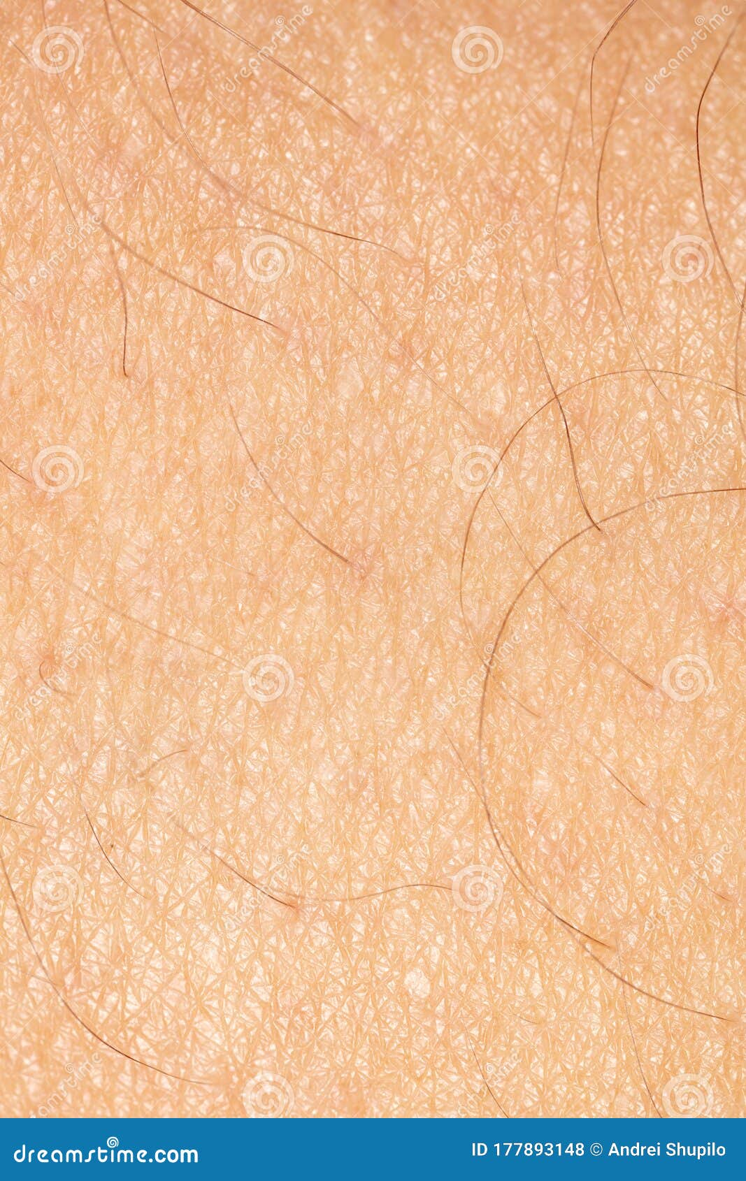 Human Skin As an Abstract Background Stock Photo - Image of male ...