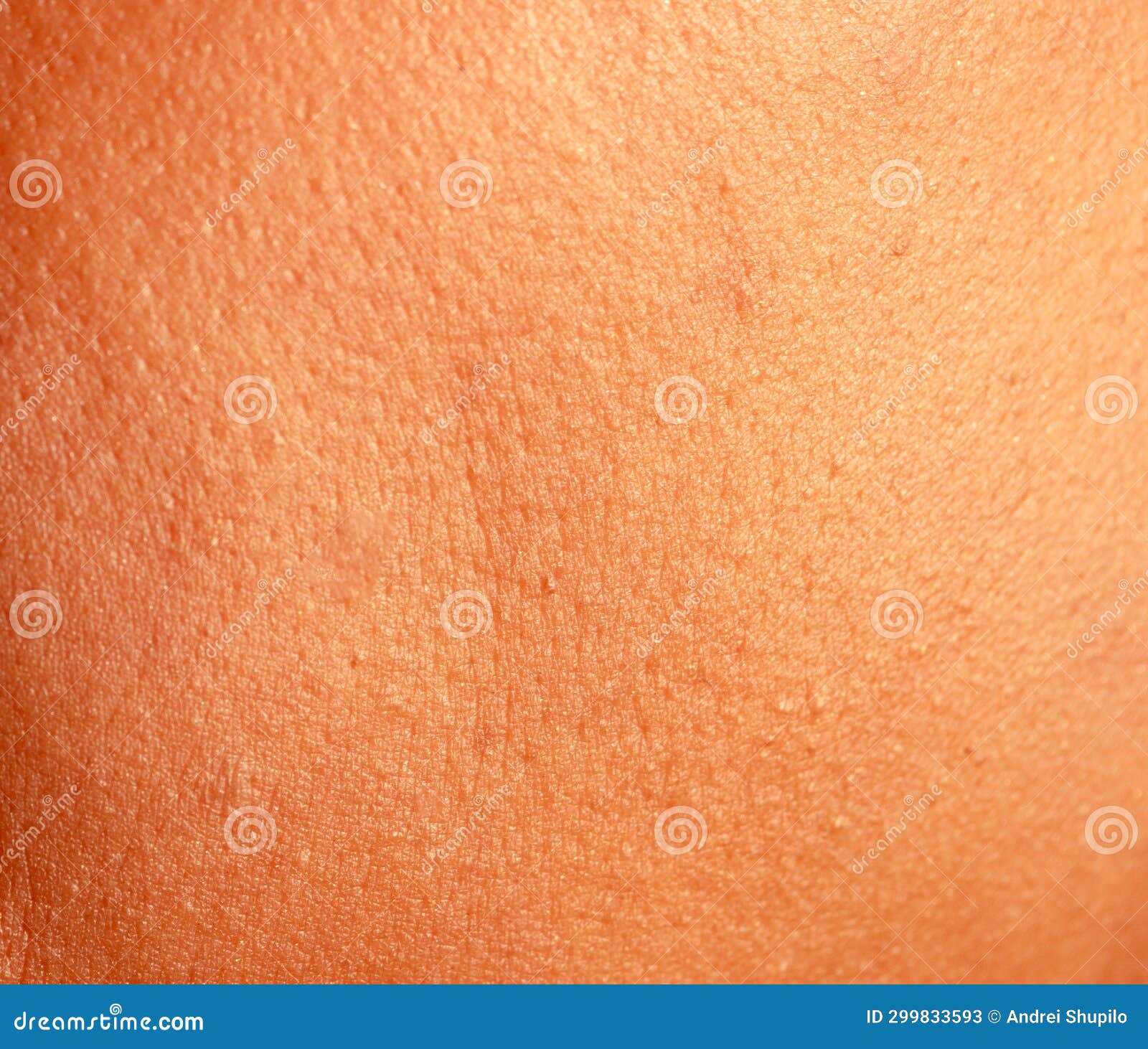 Human Skin As an Abstract Background. Texture Stock Image - Image of ...