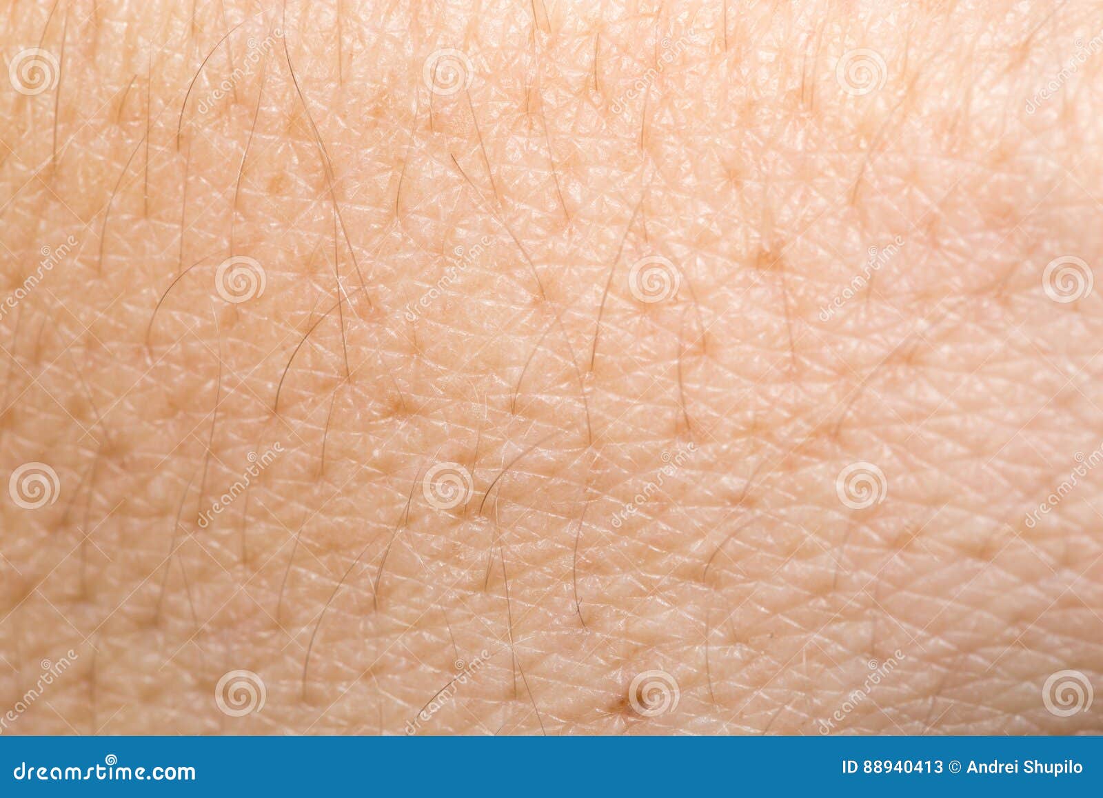 Human Skin As a Background. Macro Stock Image - Image of abstract ...