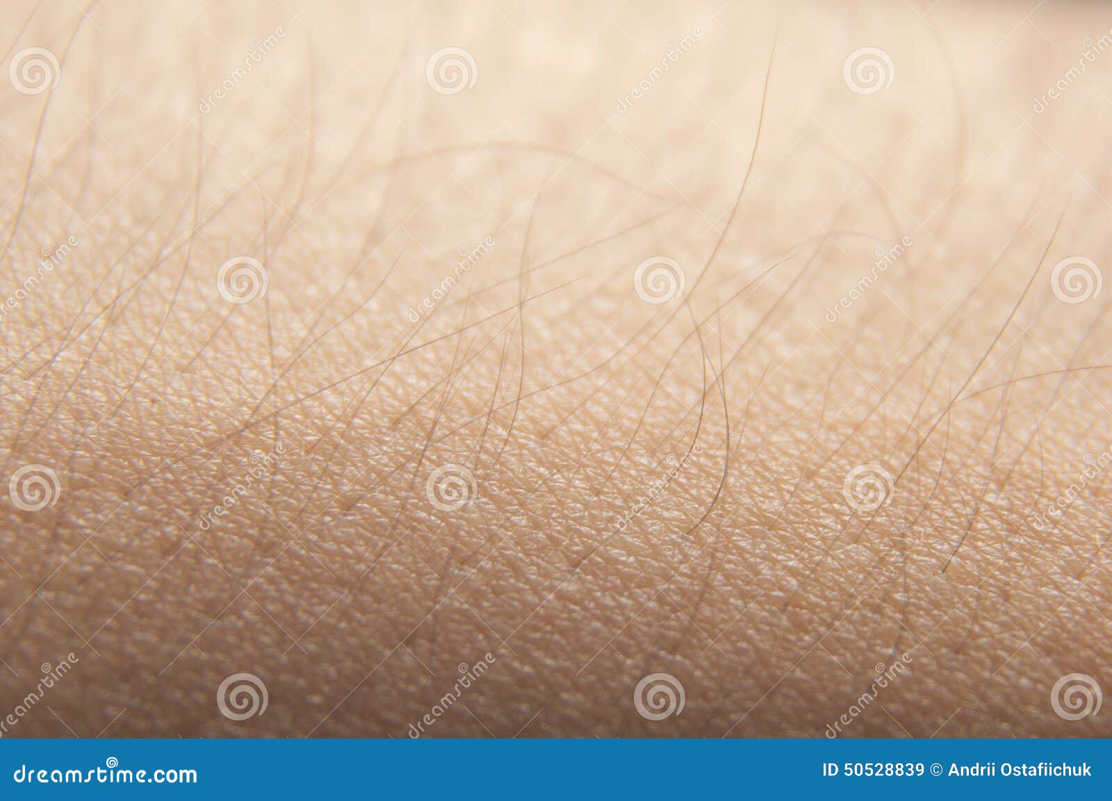 Human skin background stock image. Image of detail, male - 50528839