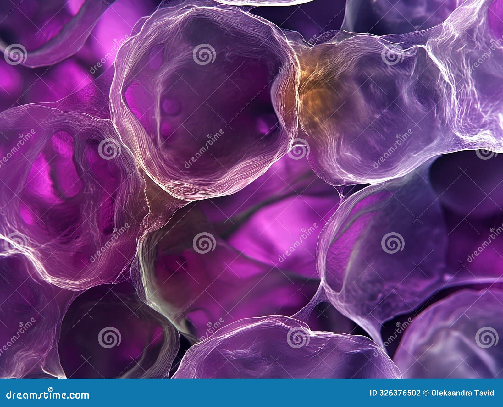 Human Skin Cells Under a Microscope Stock Photo - Image of health ...