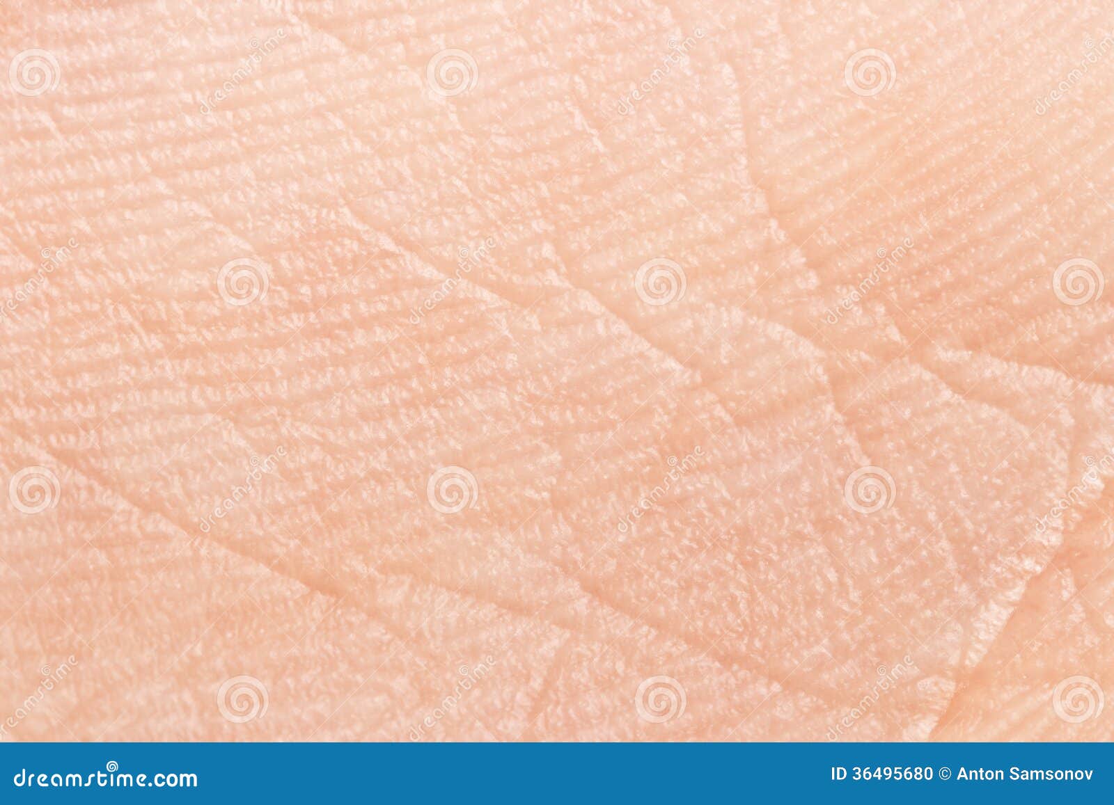 Human skin stock photo. Image of dappled, detail, care - 36495680