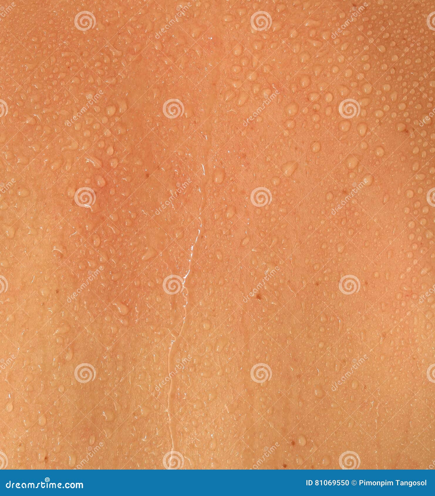 Human Skin stock photo. Image of athlete, science, peel - 81069550