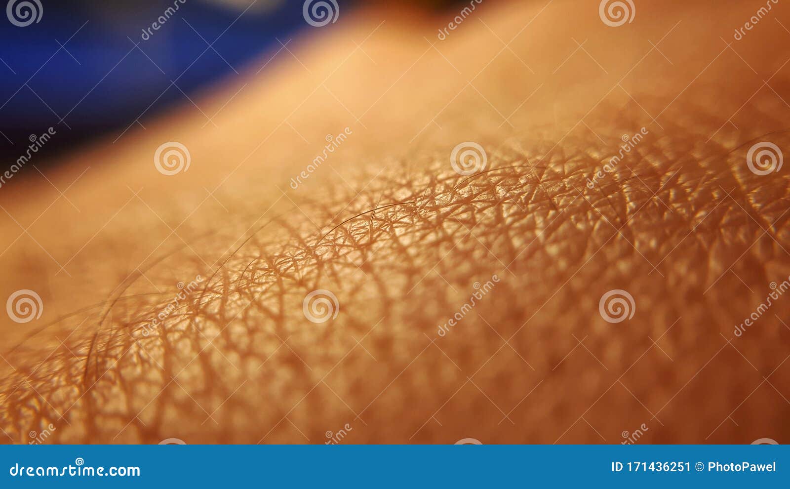 Human skin. Macro photo stock image. Image of healthy - 171436251