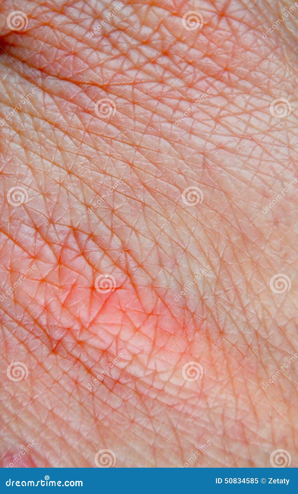 Human skin macro stock image. Image of border, girl, closeup - 50834585