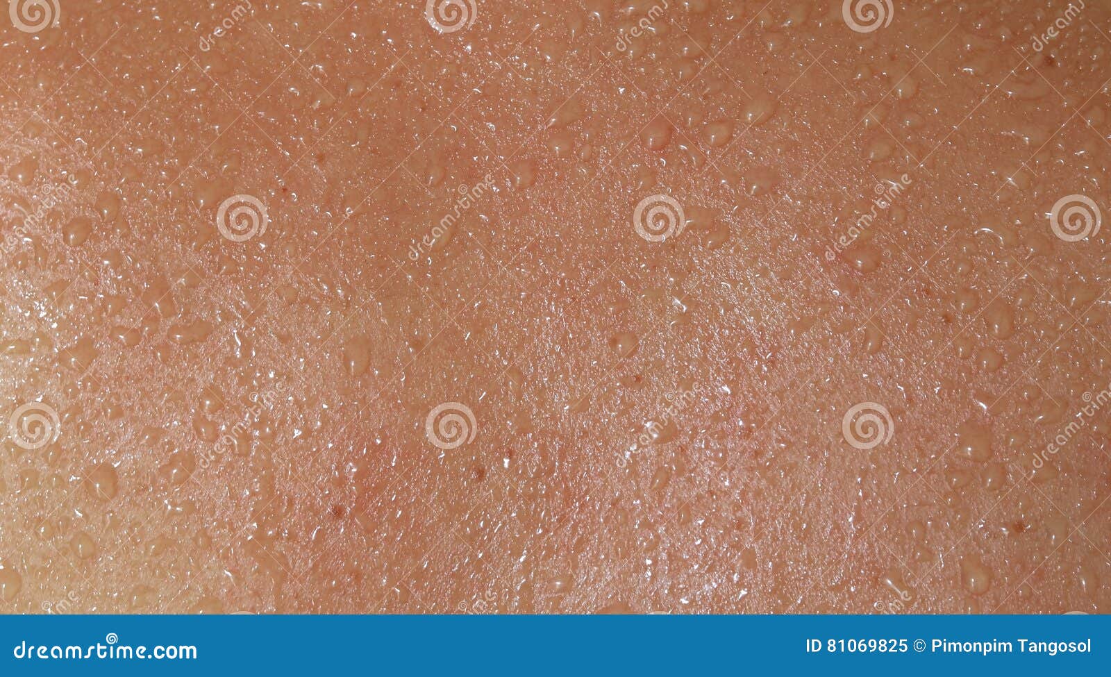 Human Skin and Sweat stock image. Image of gentle, cream - 81069825