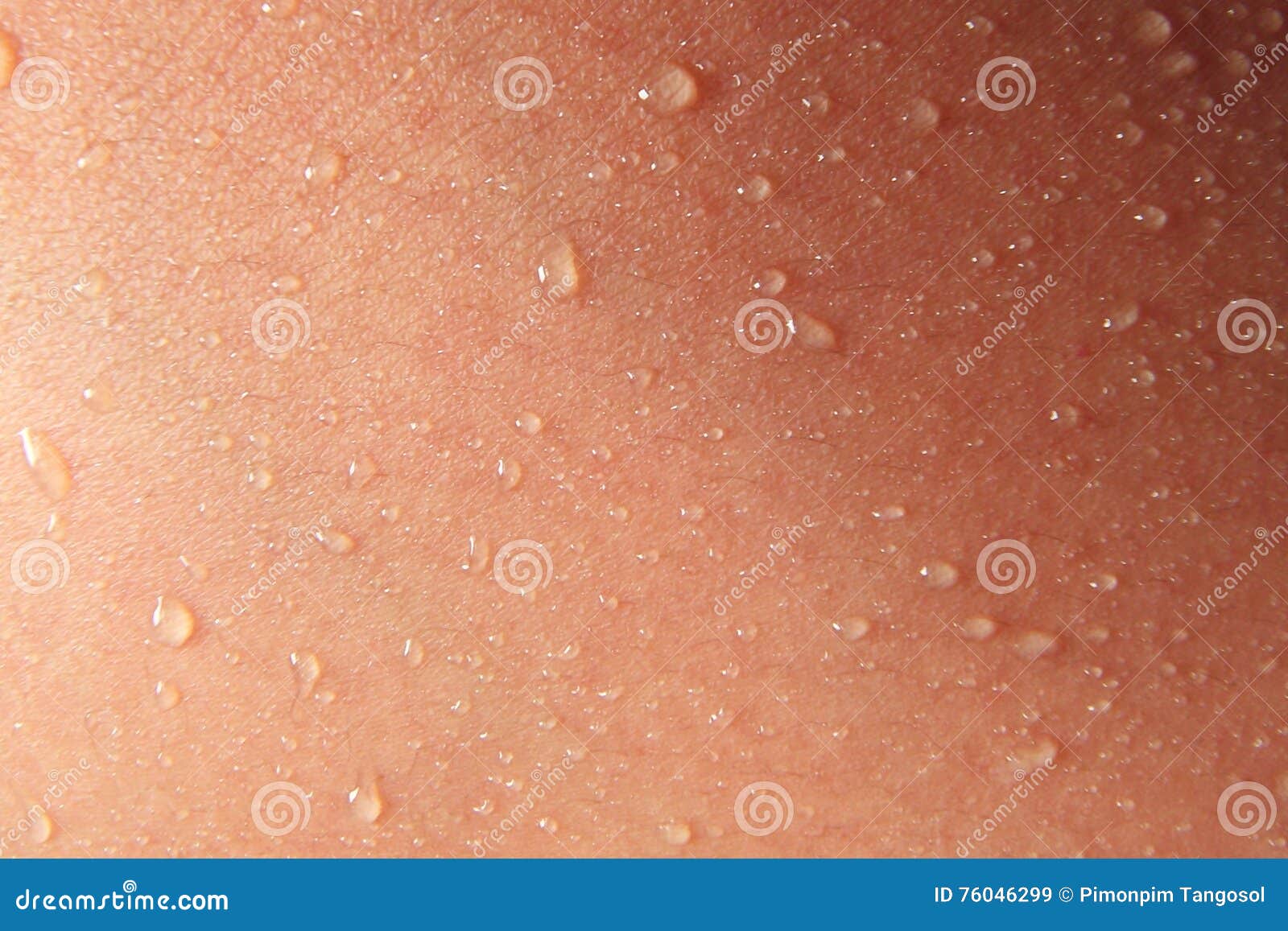 Human Skin and Sweat stock image. Image of sweating, skin - 76046299