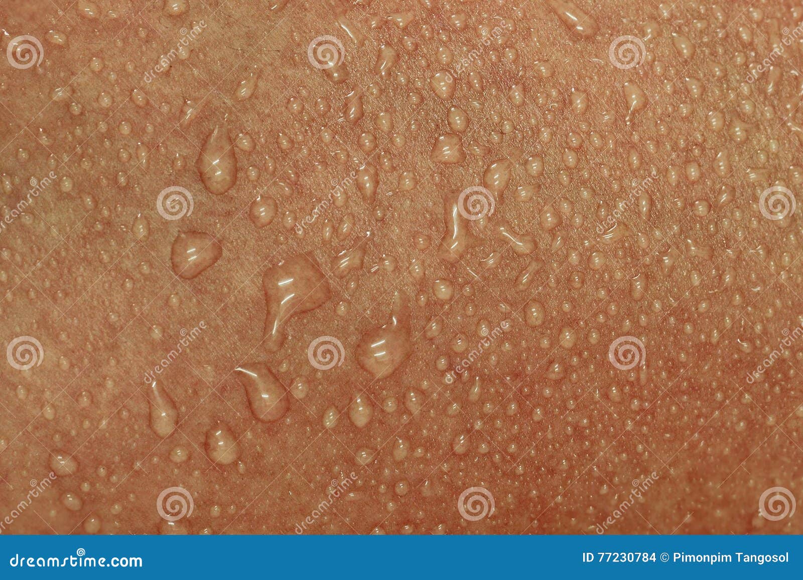 Human Skin and Sweat stock photo. Image of peel, abstract - 77230784