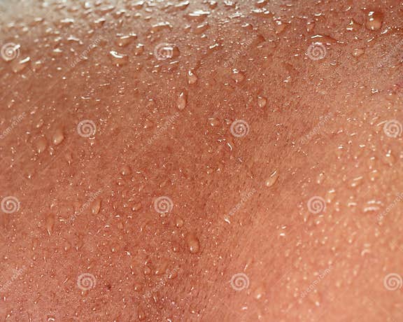 Human Skin and Sweat stock photo. Image of dermatology - 77230788