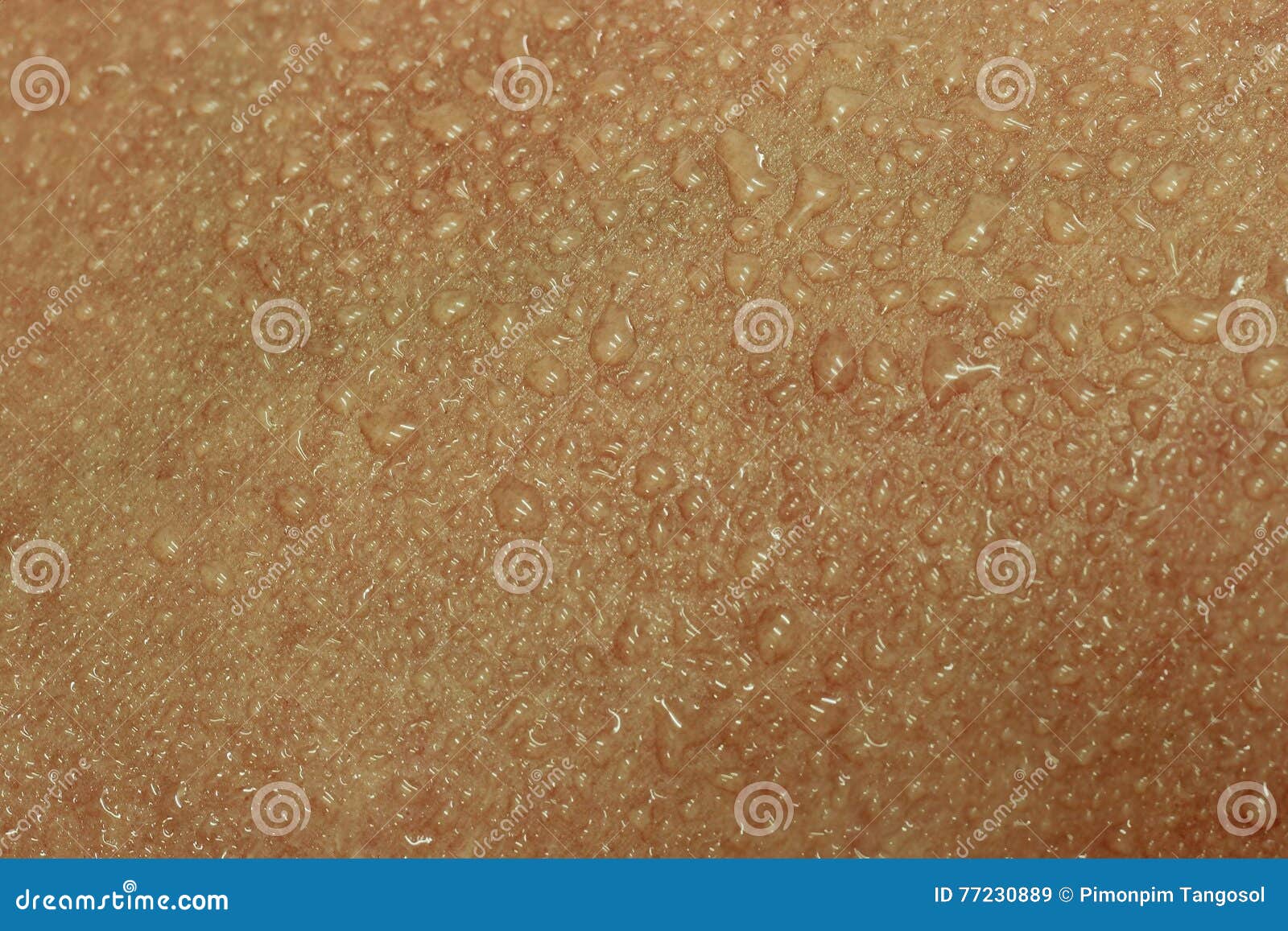 Human Skin stock image. Image of pattern, background - 77230889