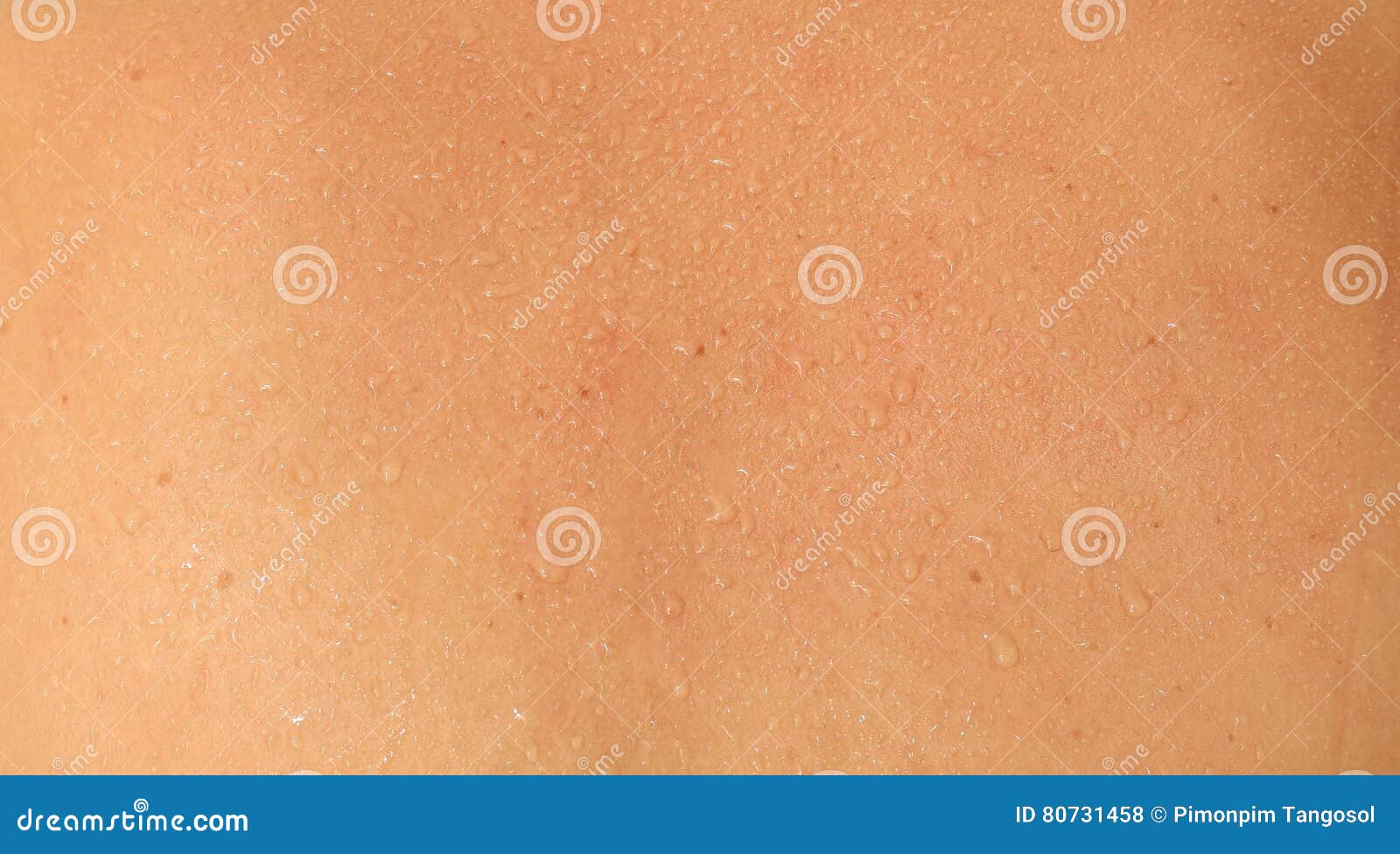 Human Skin and Sweat stock photo. Image of abstract, gentle - 80731458