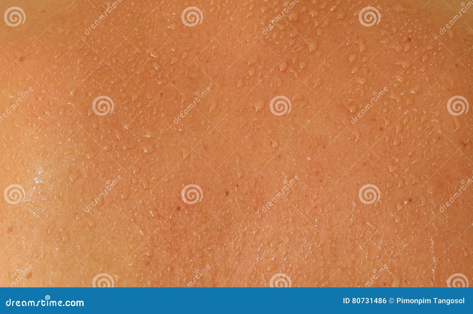 Human Skin and Sweat stock photo. Image of health, adult - 80731486