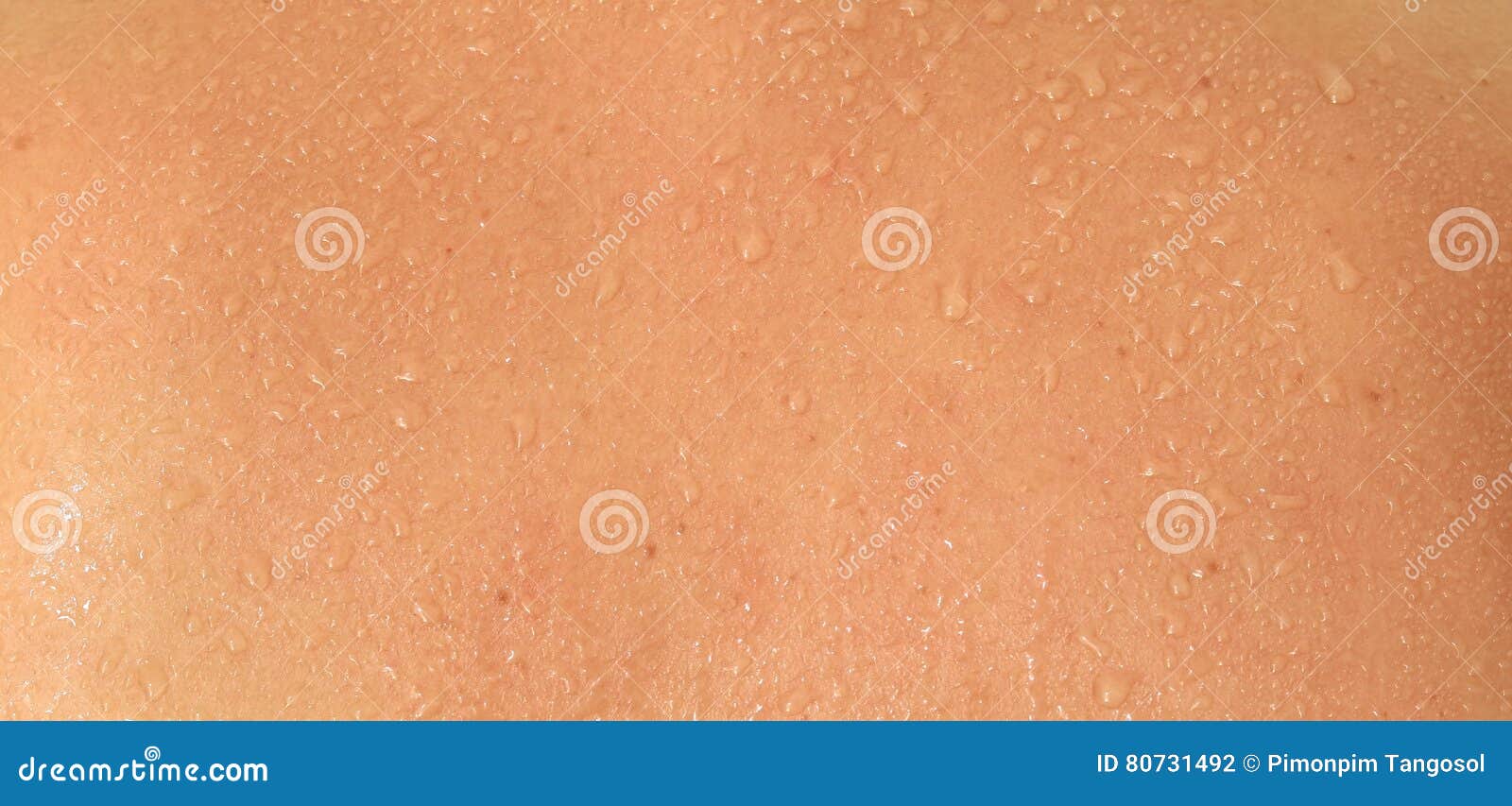 Human Skin and Sweat stock photo. Image of closeup, athletic - 80731492