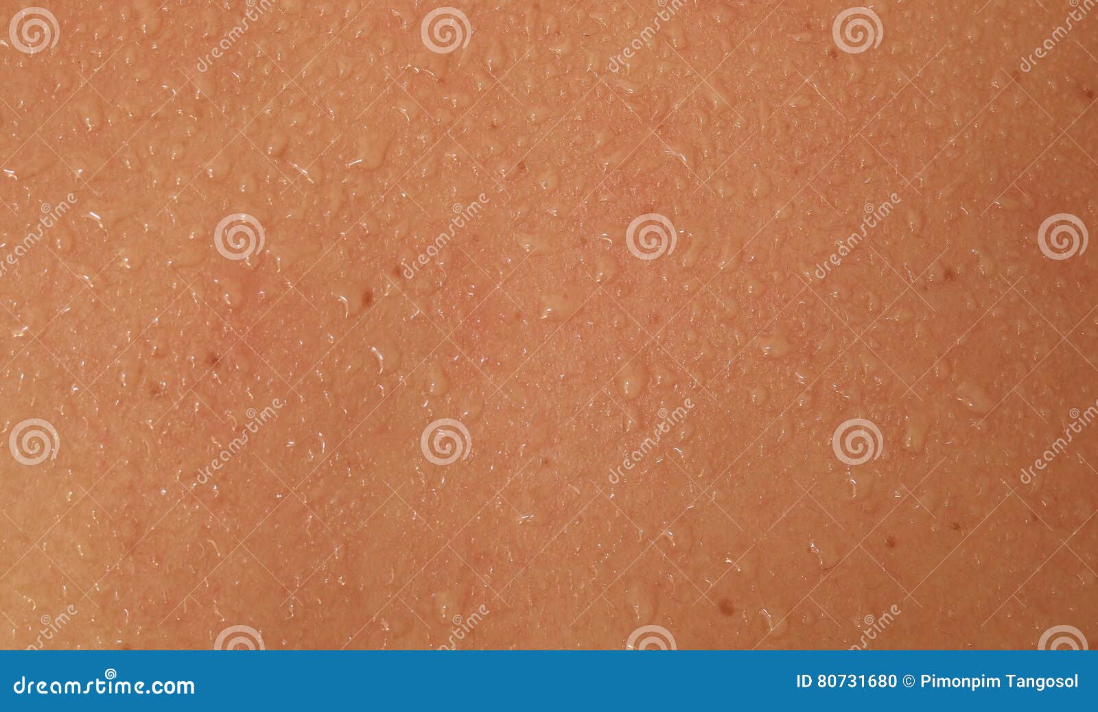 Human Skin and Sweat stock photo. Image of shower, science - 80731680