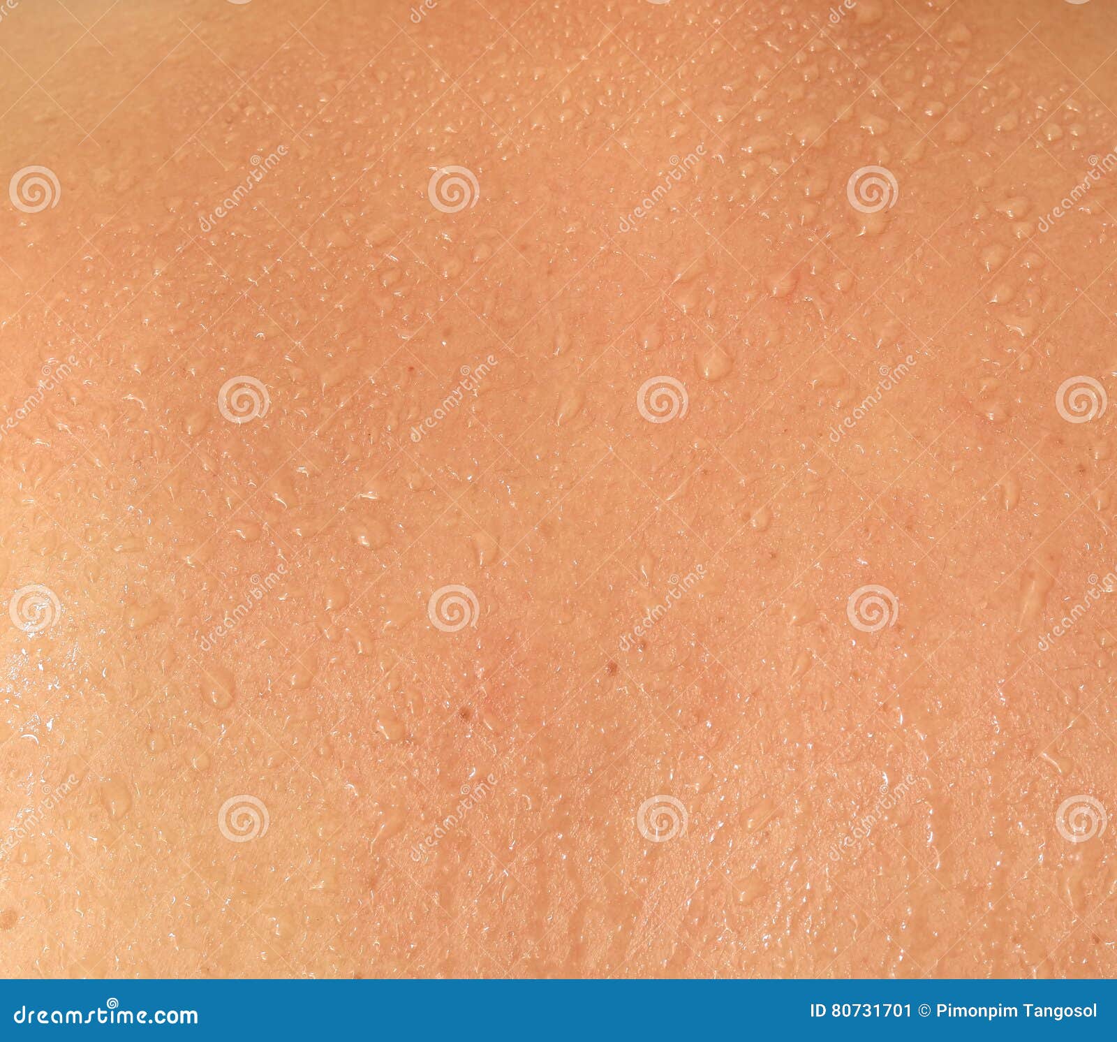 Human Skin and Sweat stock image. Image of life, female - 80731701