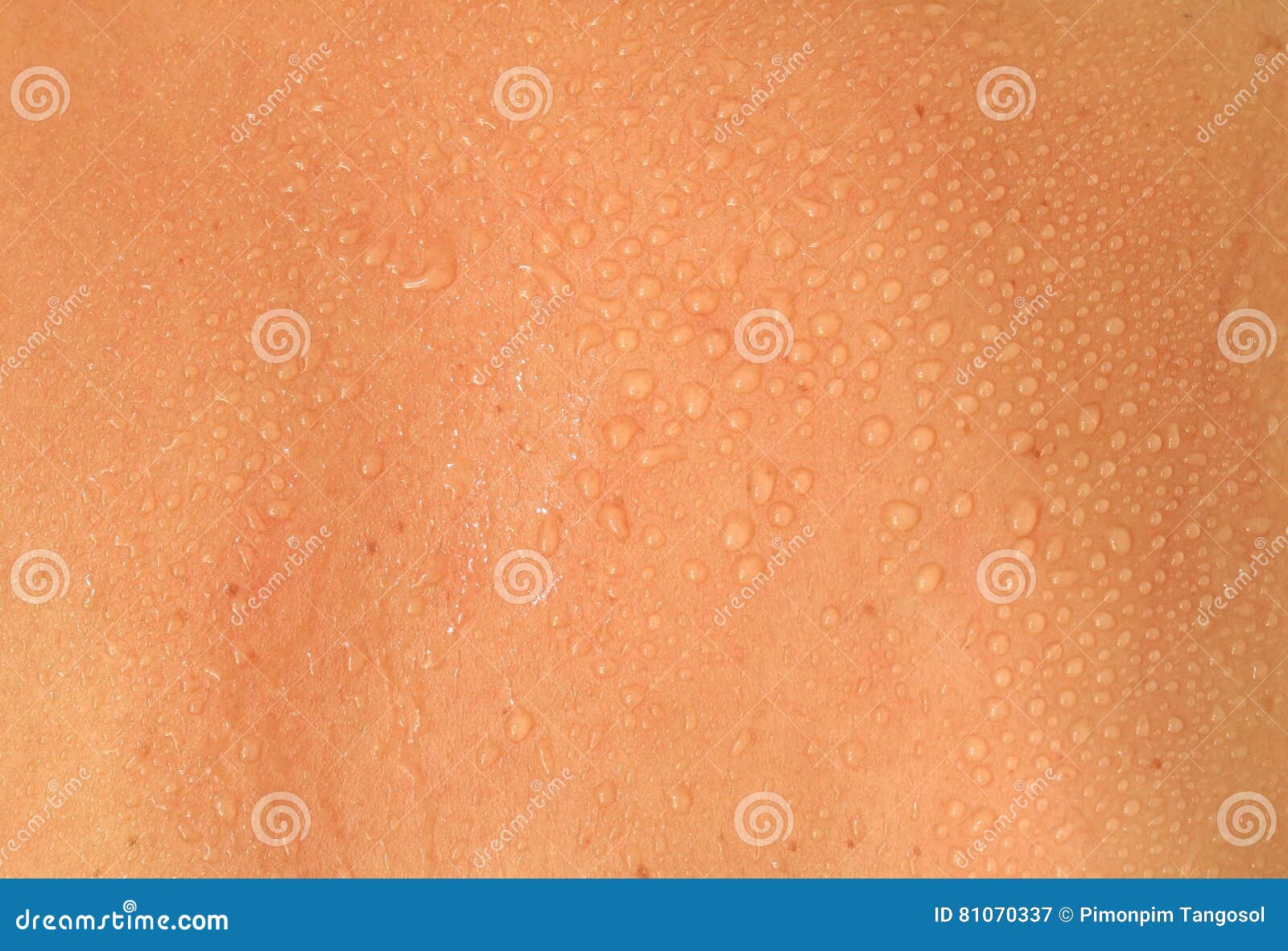 Human Skin and Sweat stock image. Image of human, athlete - 81070337