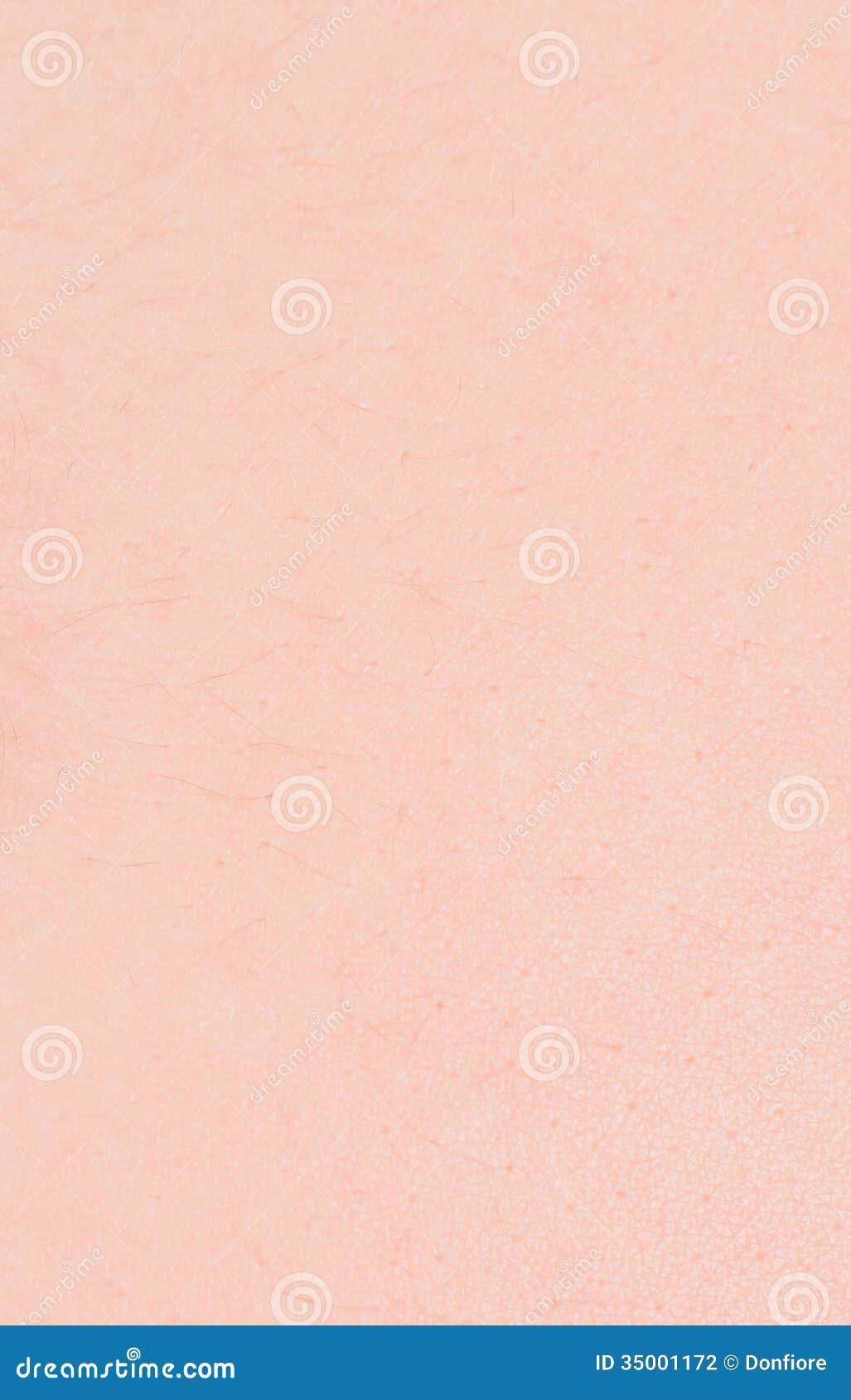 Human skin texture stock photo. Image of hair, natural - 35001172