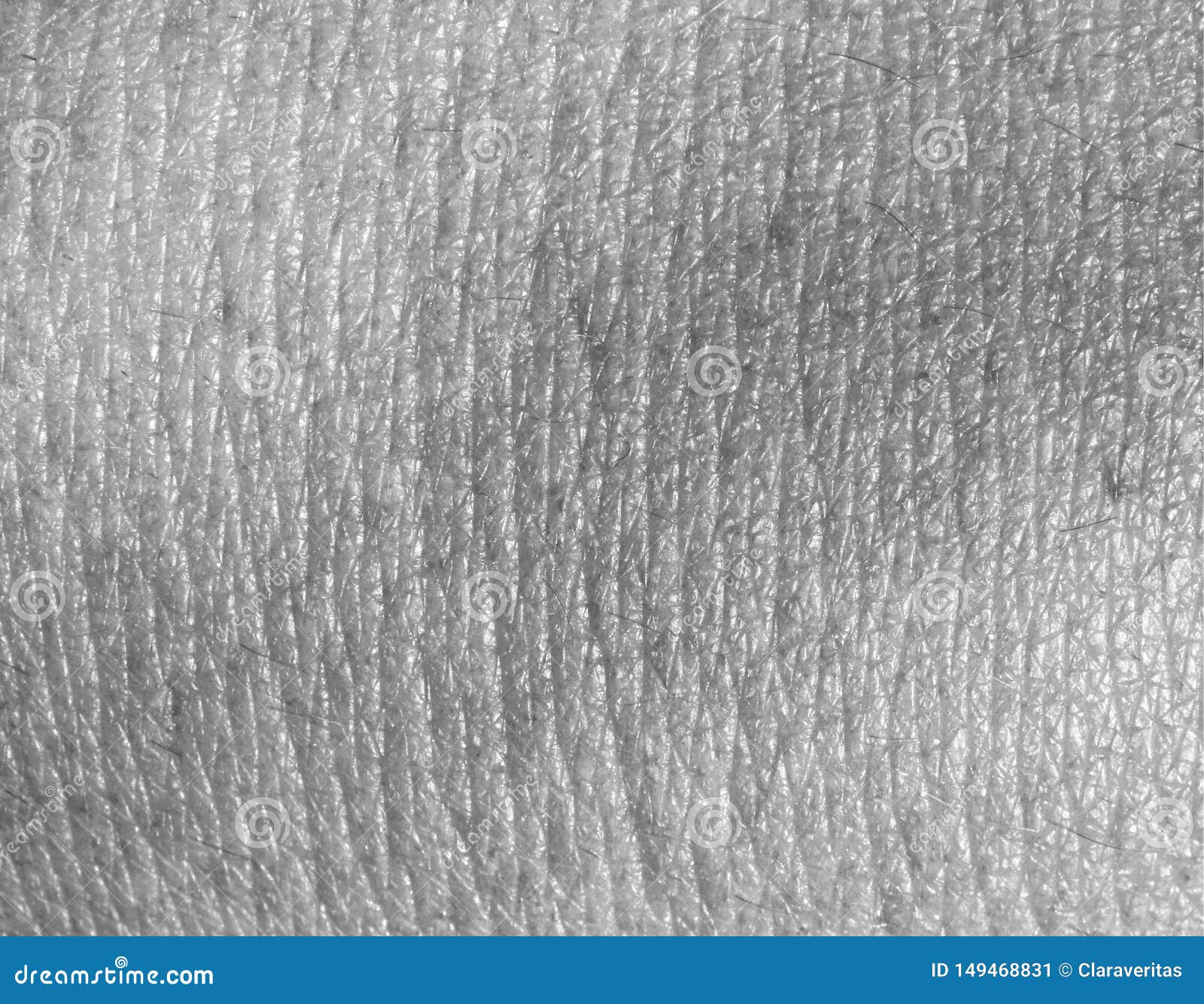 Human Skin Texture Close Up Stock Image - Image of macro, skin: 149468831