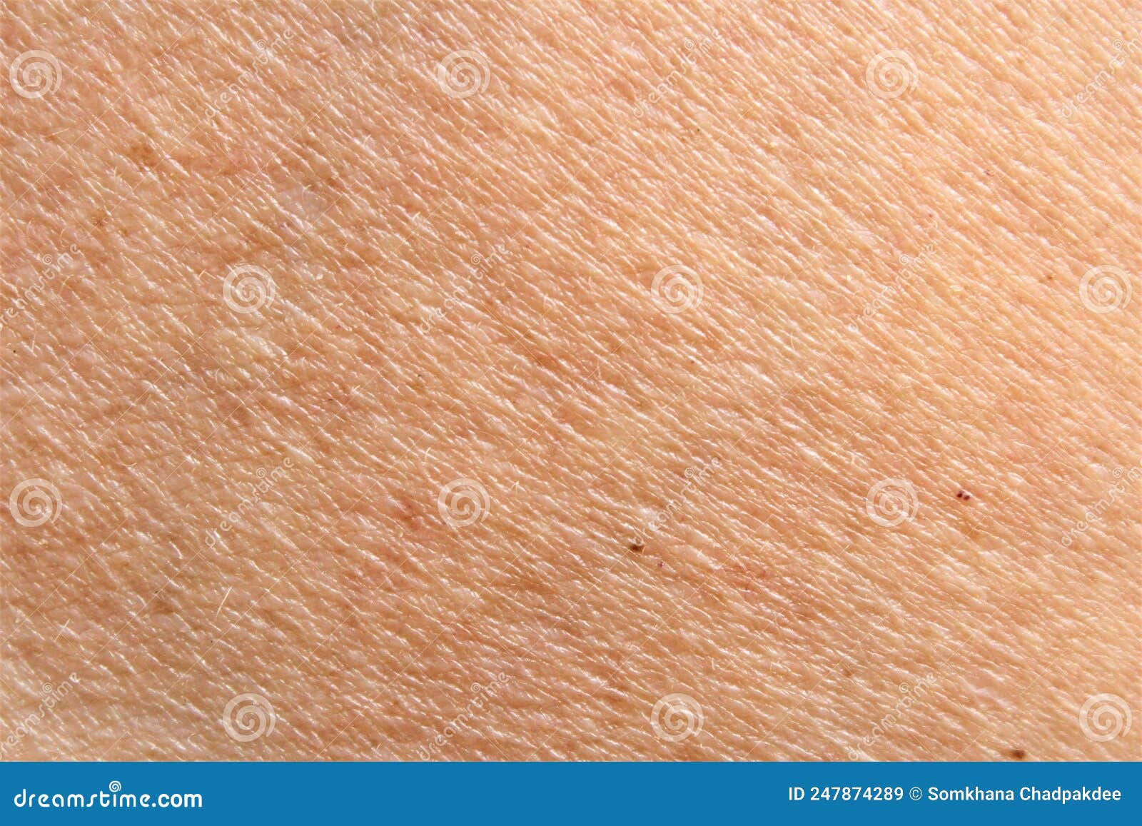 Human skin texture stock image. Image of dermatology - 247874289