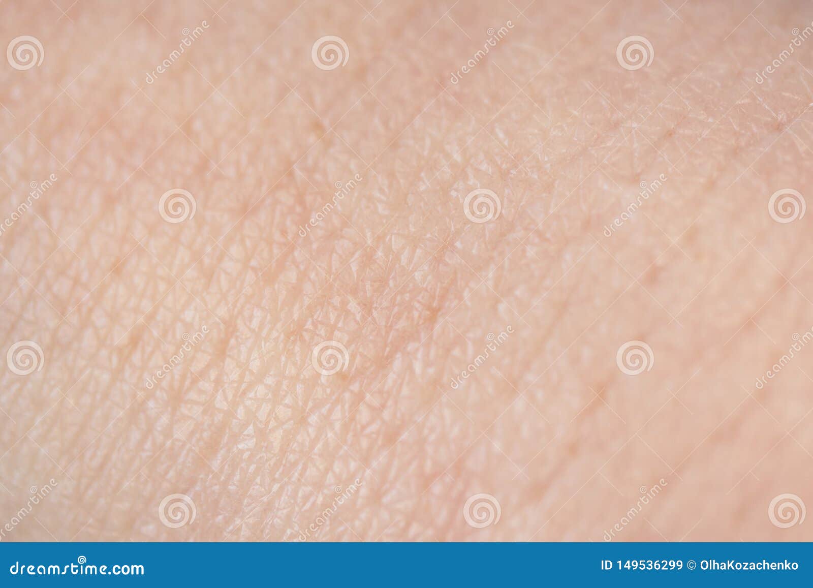 Human Skin Texture, Close Up, Selective Focus Stock Image - Image of ...