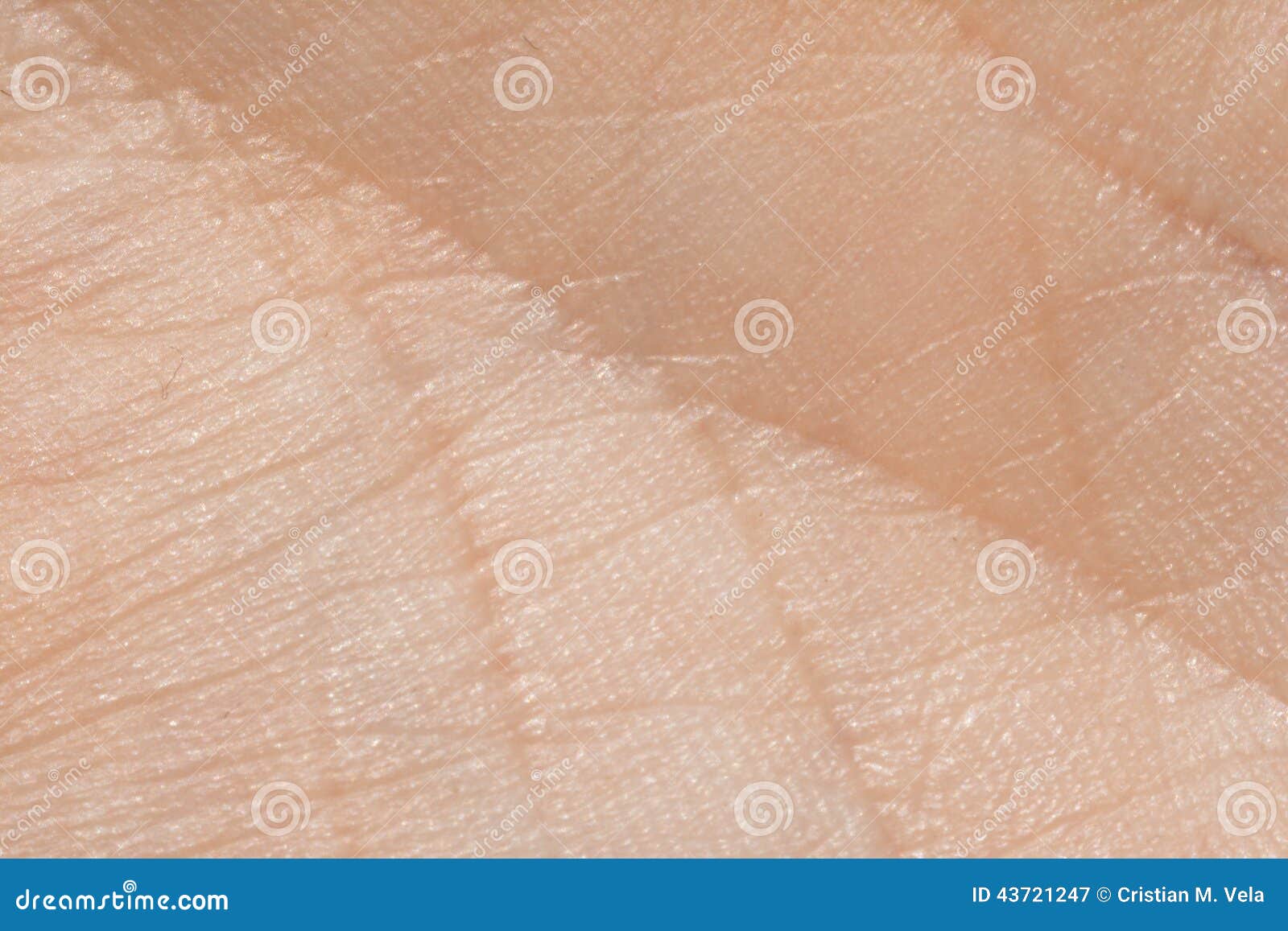 Human skin texture stock image. Image of caucasian, abstract - 43721247