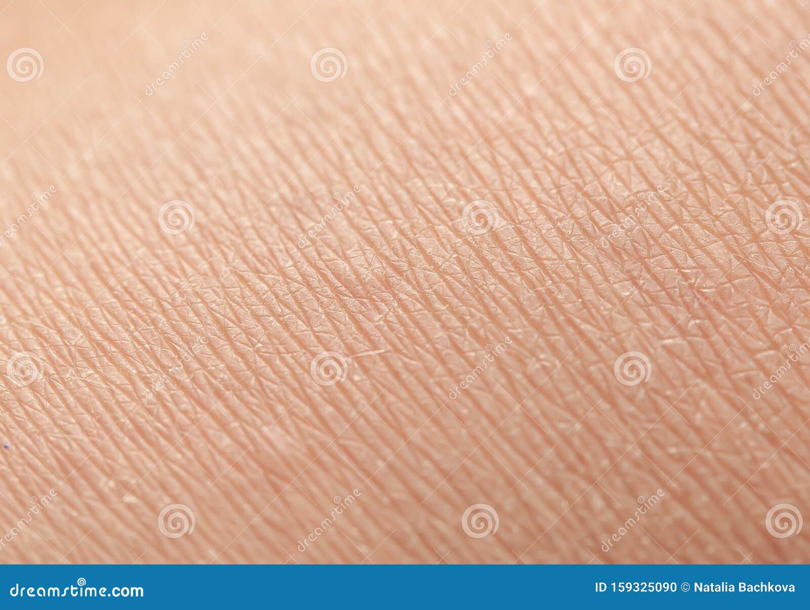 Human Skin Texture Covered with Fine Lines and Cracks and Small ...