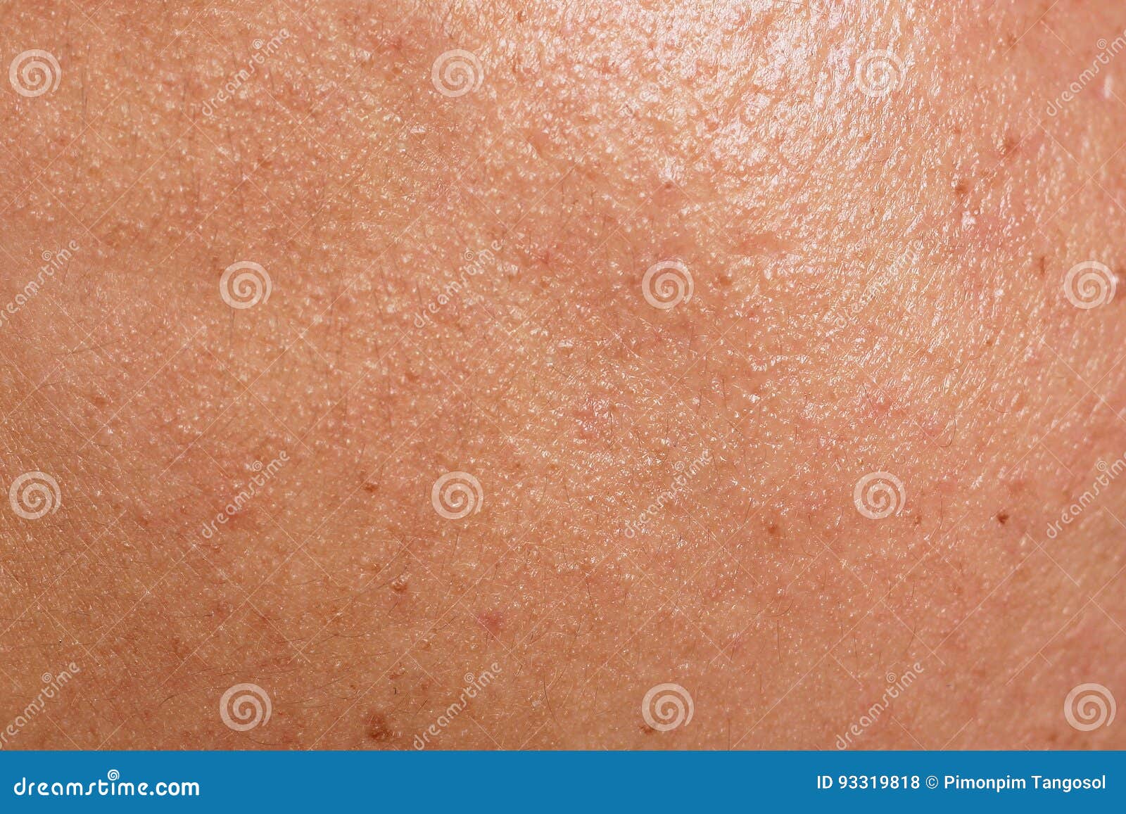 Human skin texture stock photo. Image of science, droplet - 93319818