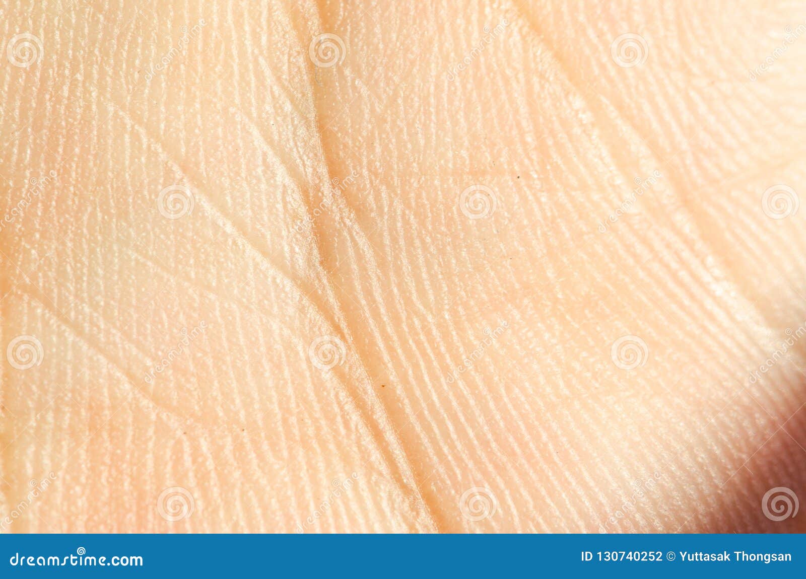 Human Skin Texture,macro View. Stock Photo - Image of dark, complexion ...