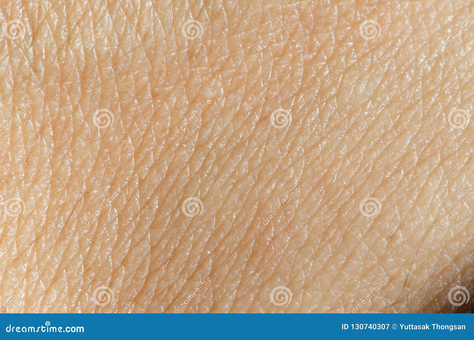 Human Skin Texture,macro View. Stock Image - Image of asian, design ...