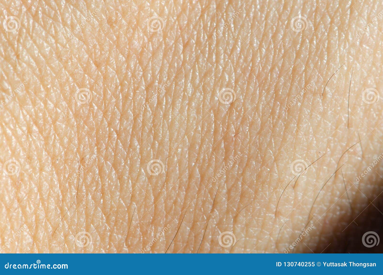 Human Skin Texture,macro View. Stock Image - Image of hand, detail ...