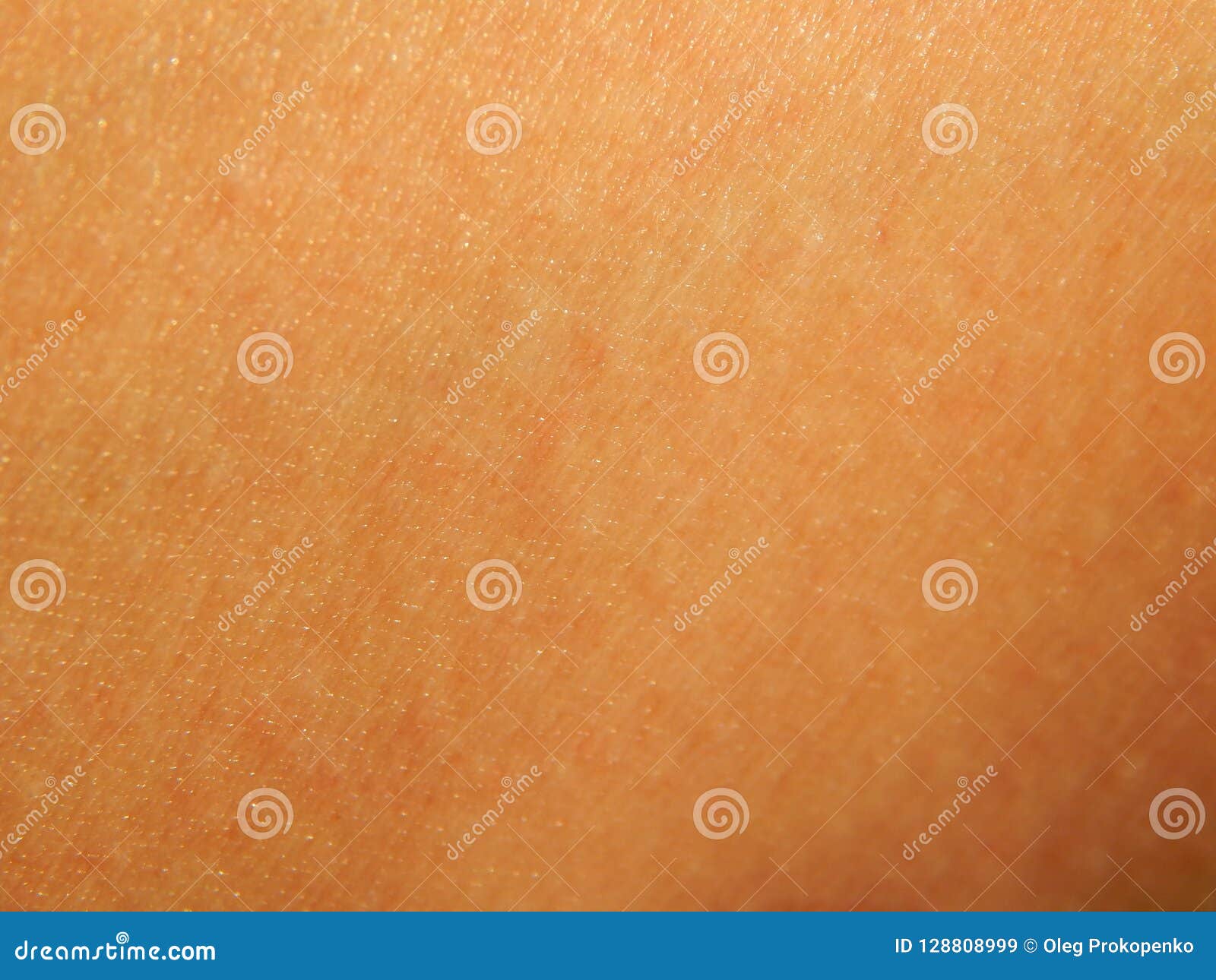 Human Body Skin Textures