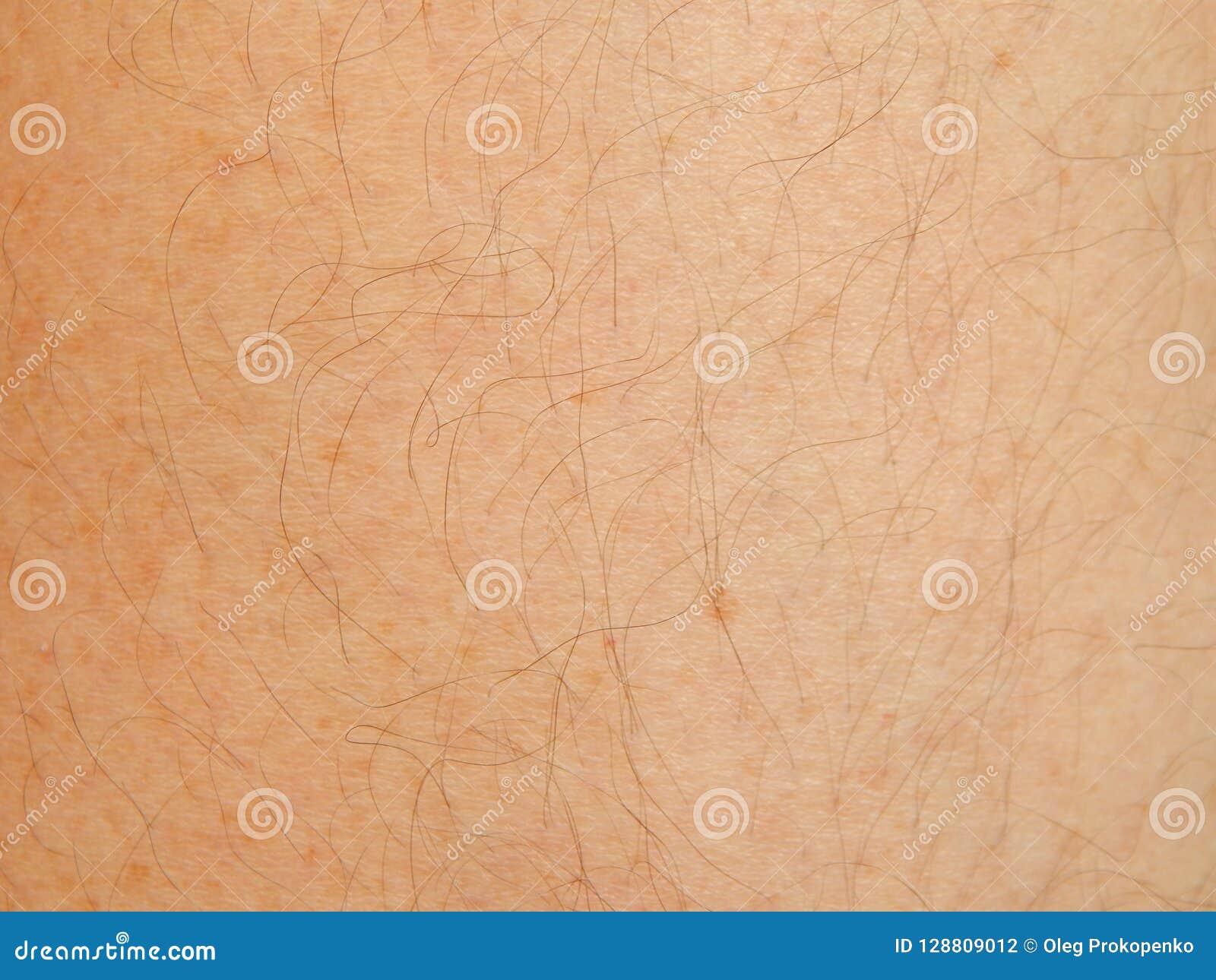 Human Body Skin Textures