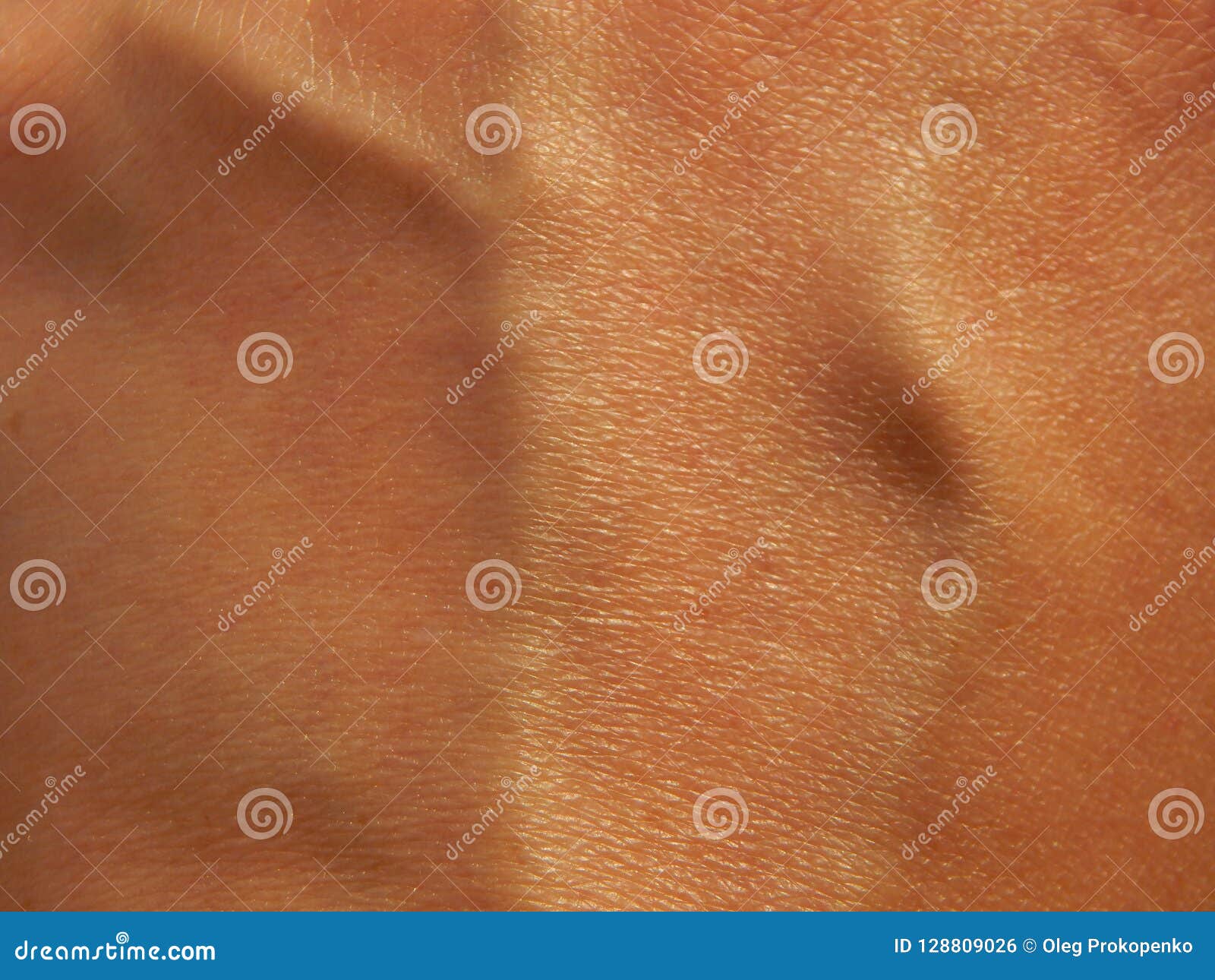 Human Skin Texture in Various Parts Stock Photo - Image of background ...