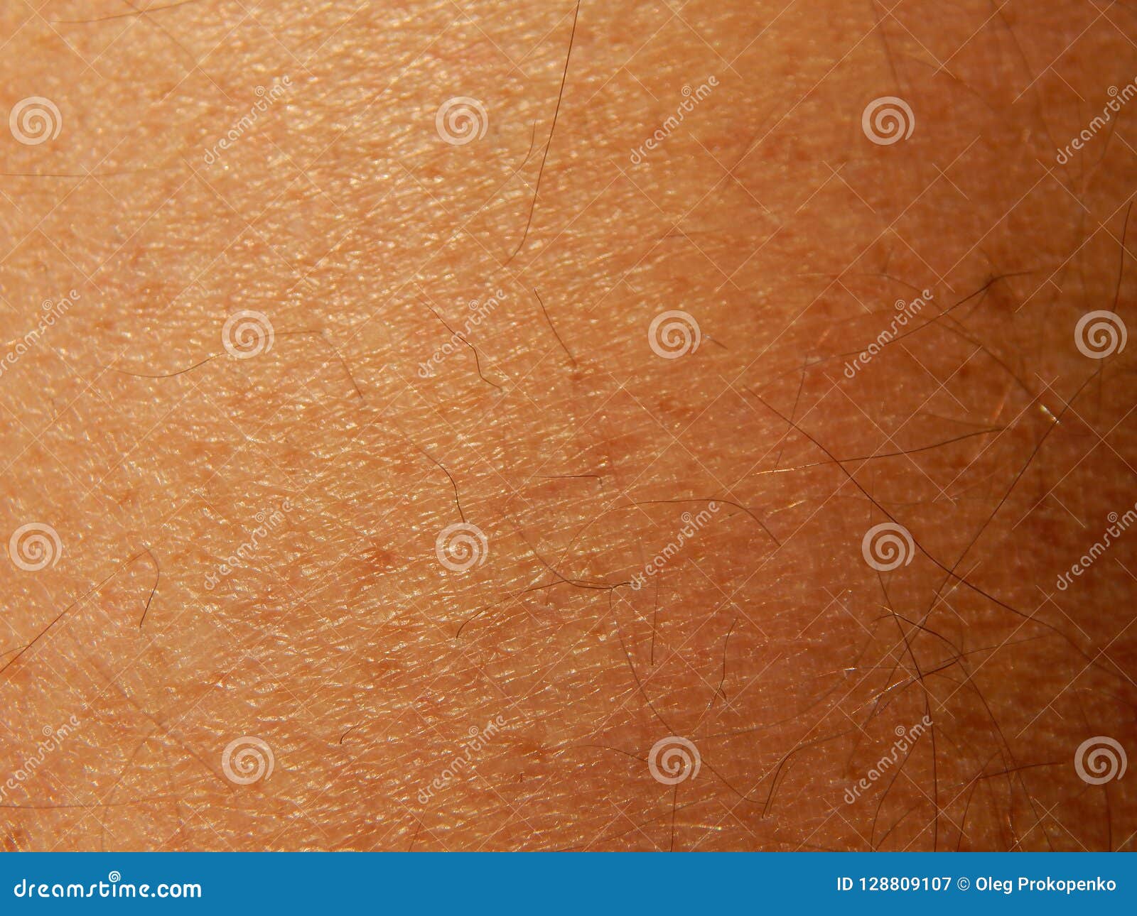 Human Skin Texture in Various Parts Stock Image - Image of health ...