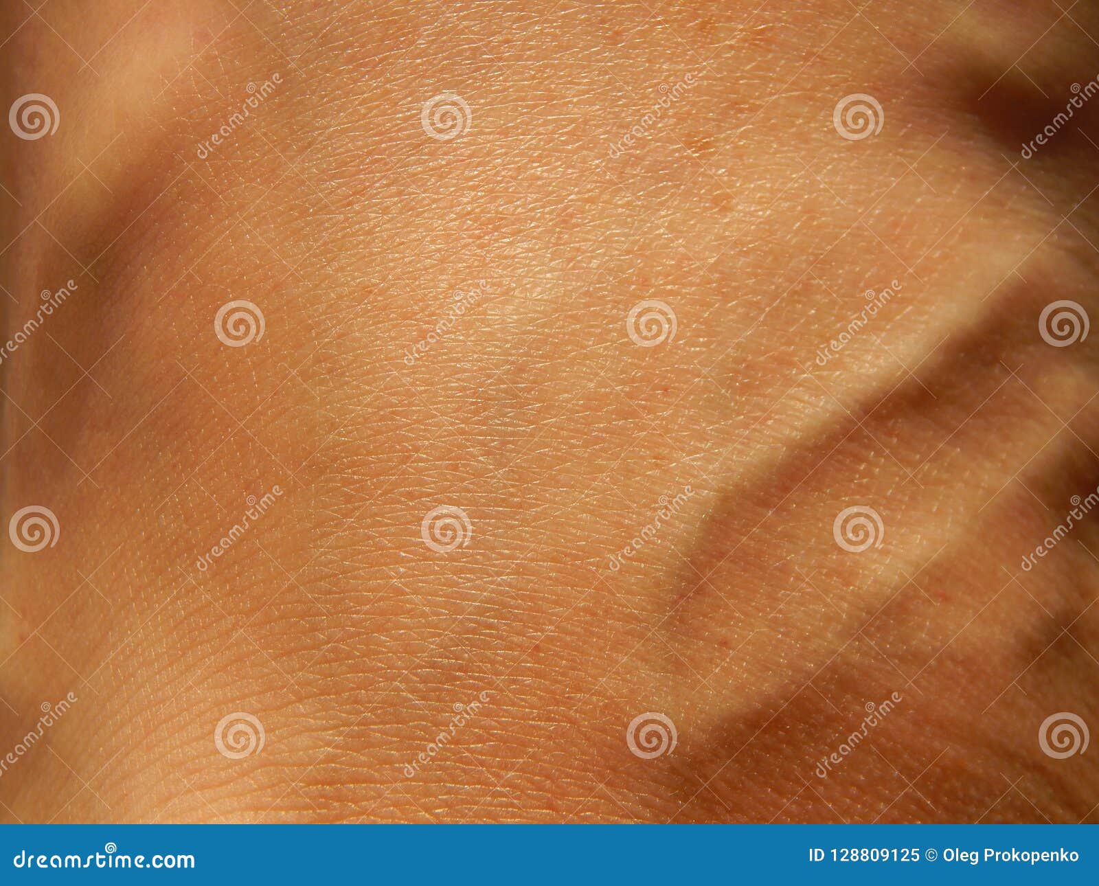 Human Skin Texture in Various Parts Stock Image - Image of people ...