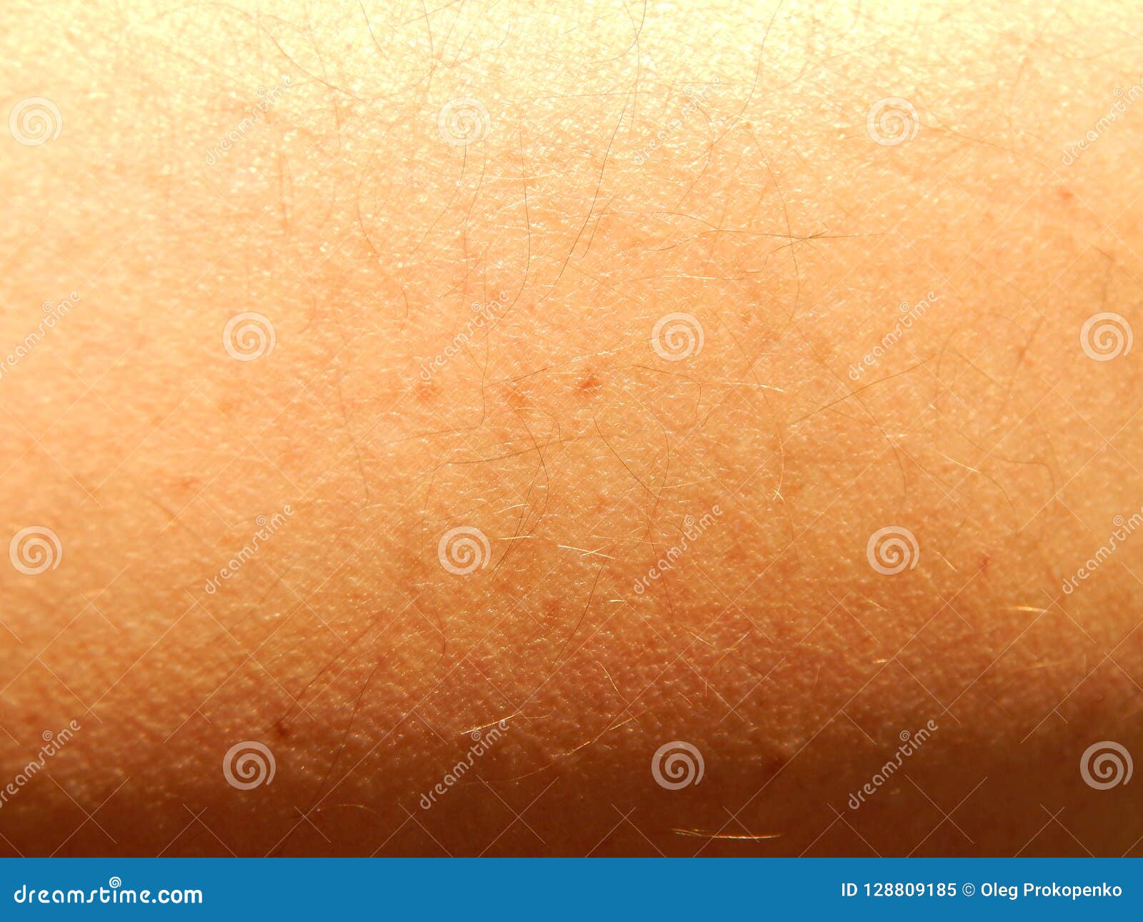 Human Skin Texture in Various Parts Stock Image - Image of macro ...
