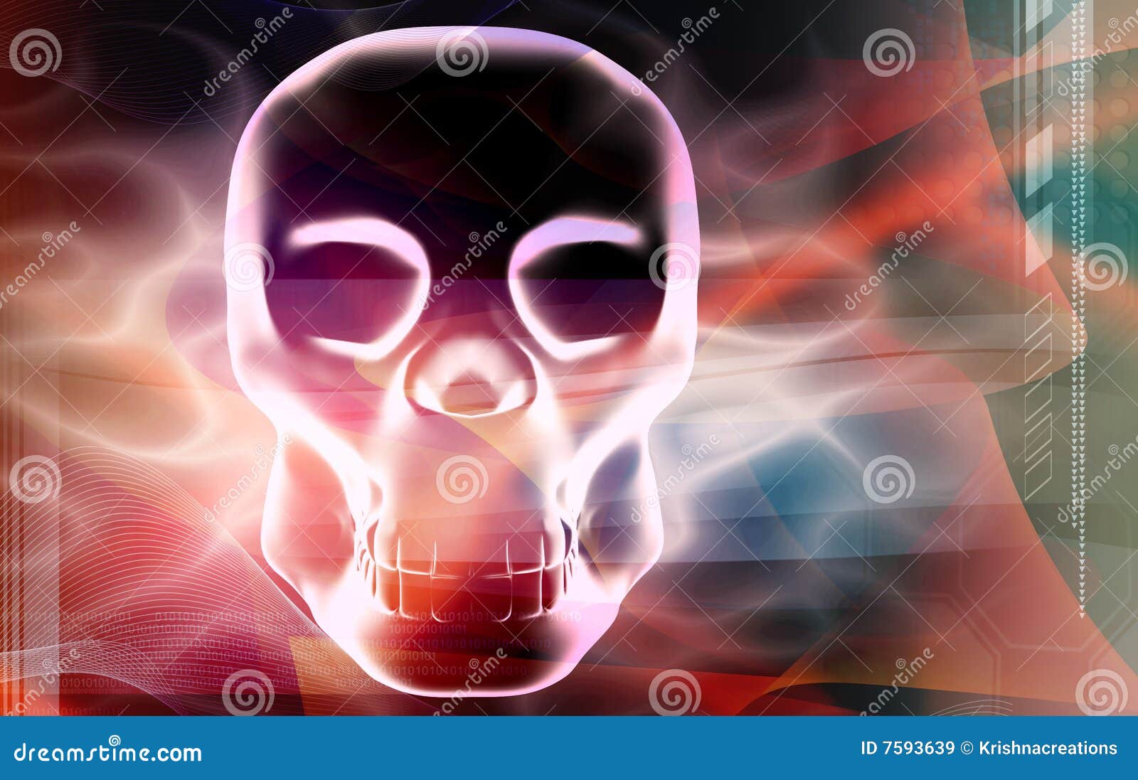Human skull stock illustration. Illustration of digital - 7593639